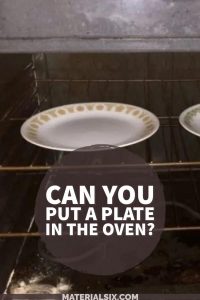 Can I Put A Plate In The Oven? (Explained)