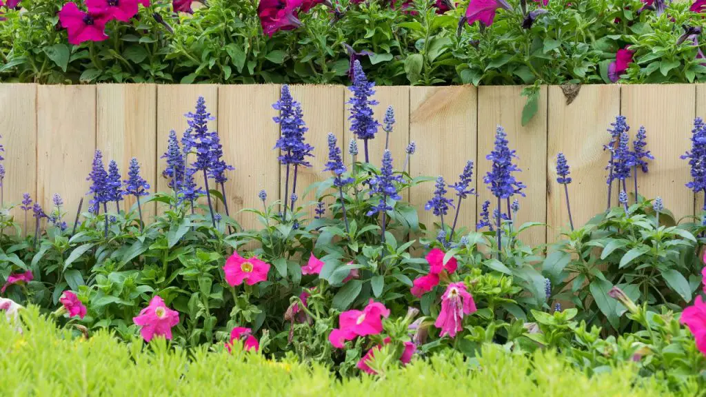 21 Beautiful Backyard Landscaping Ideas On A Budget