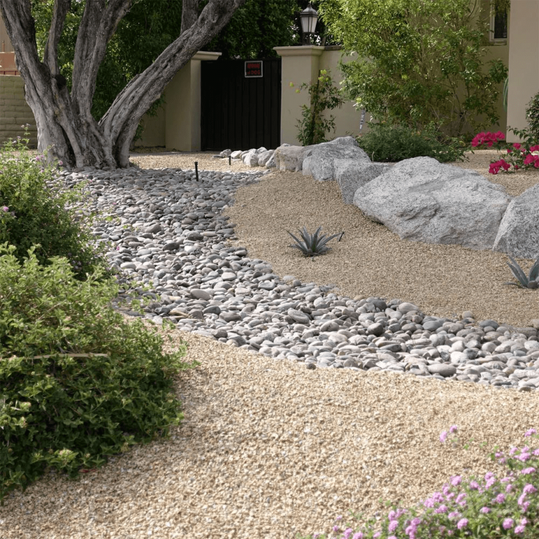 Desert Landscaping Ideas for Your Backyard (A Guide)