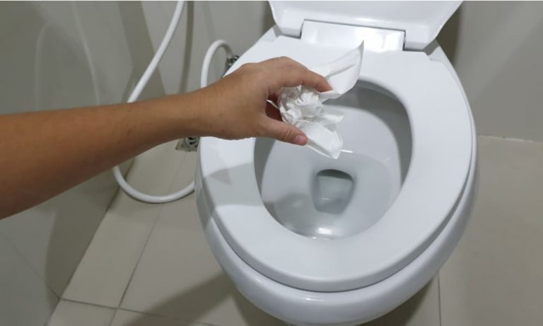 How To Flush Poop That Is Too Big To Flush (Helpful Tips)