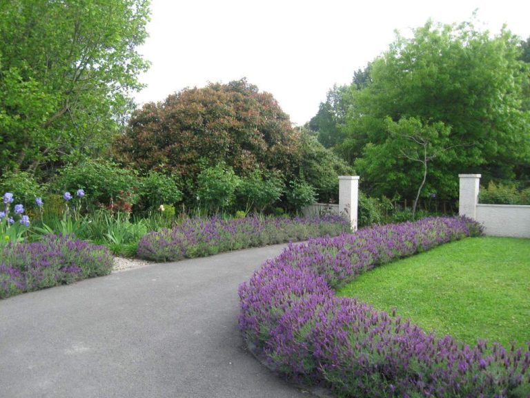 21 Top Driveway Edging Ideas That Will Improve Your Yard