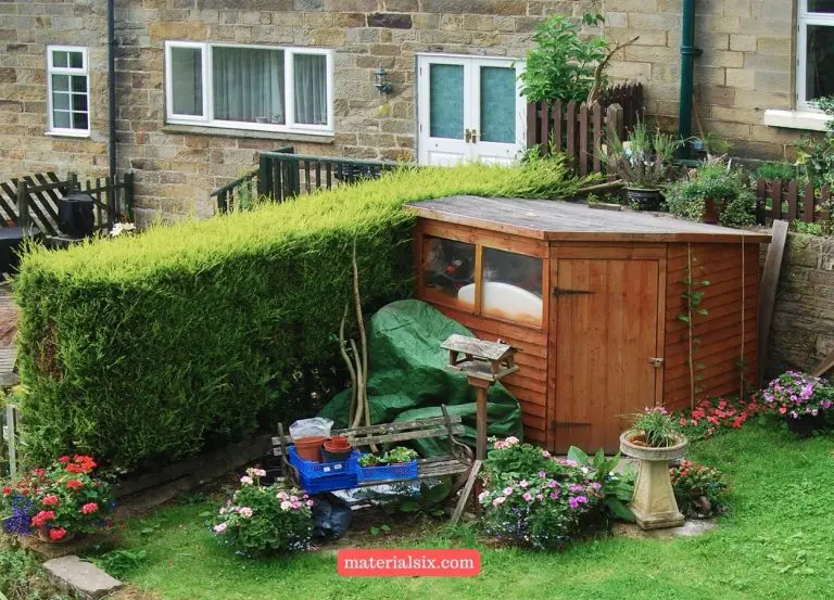 Shed Cleaning and Maintenance Tips for Homeowners (Guide)
