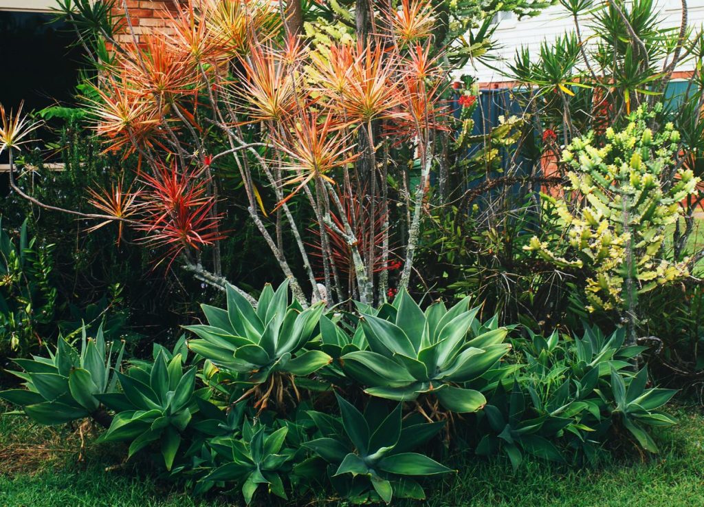 How to Design a Tropical Oasis in Your Own Backyard - MaterialSix