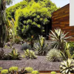 How to Design a Tropical Oasis in Your Own Backyard - MaterialSix